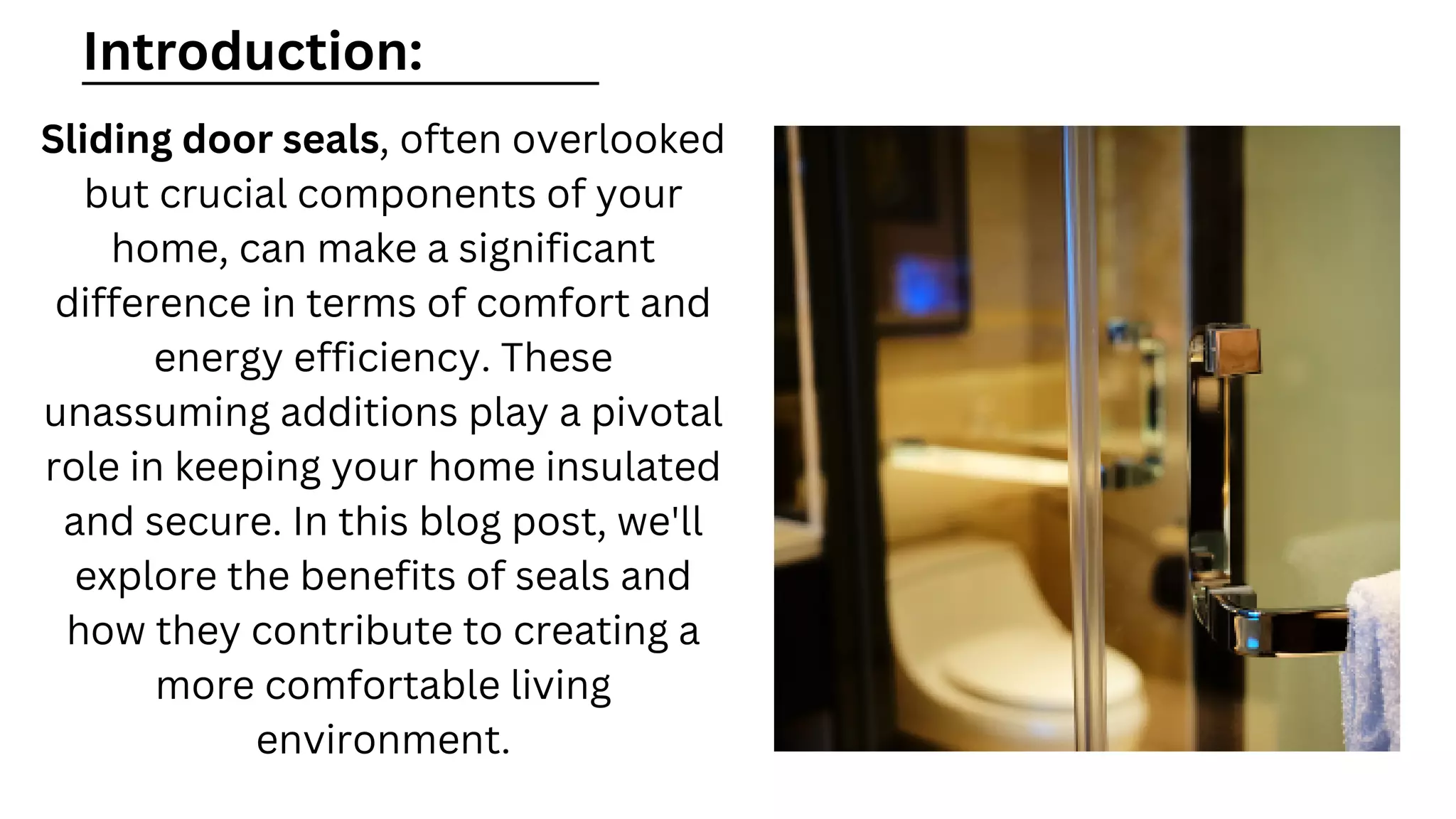 Sealing the Deal How Sliding Door Seals Enhance Home Comfort.pdf