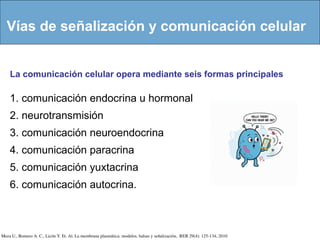 Señalización celular en las células.pptx