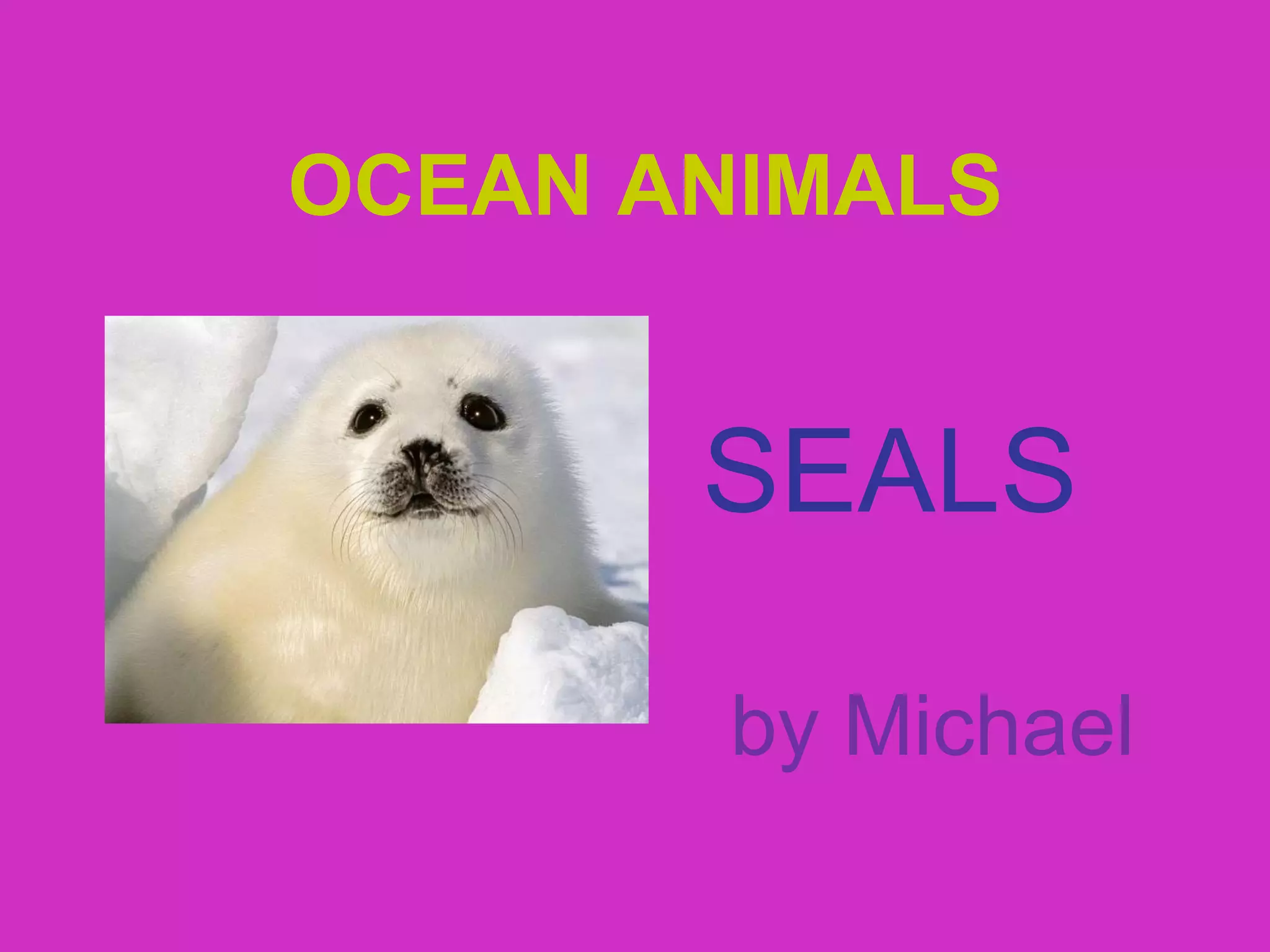 OCEAN ANIMALS: SEALS | PPTX