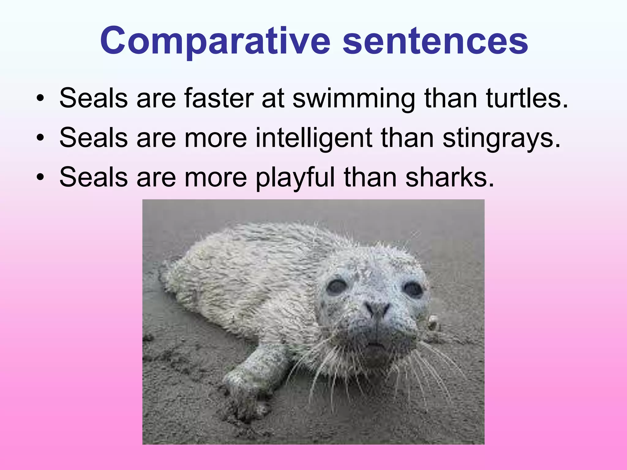 OCEAN ANIMALS: SEALS | PPTX