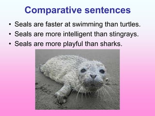 OCEAN ANIMALS: SEALS | PPTX
