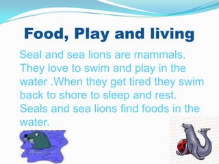 Seal & Sea Lions | PPT