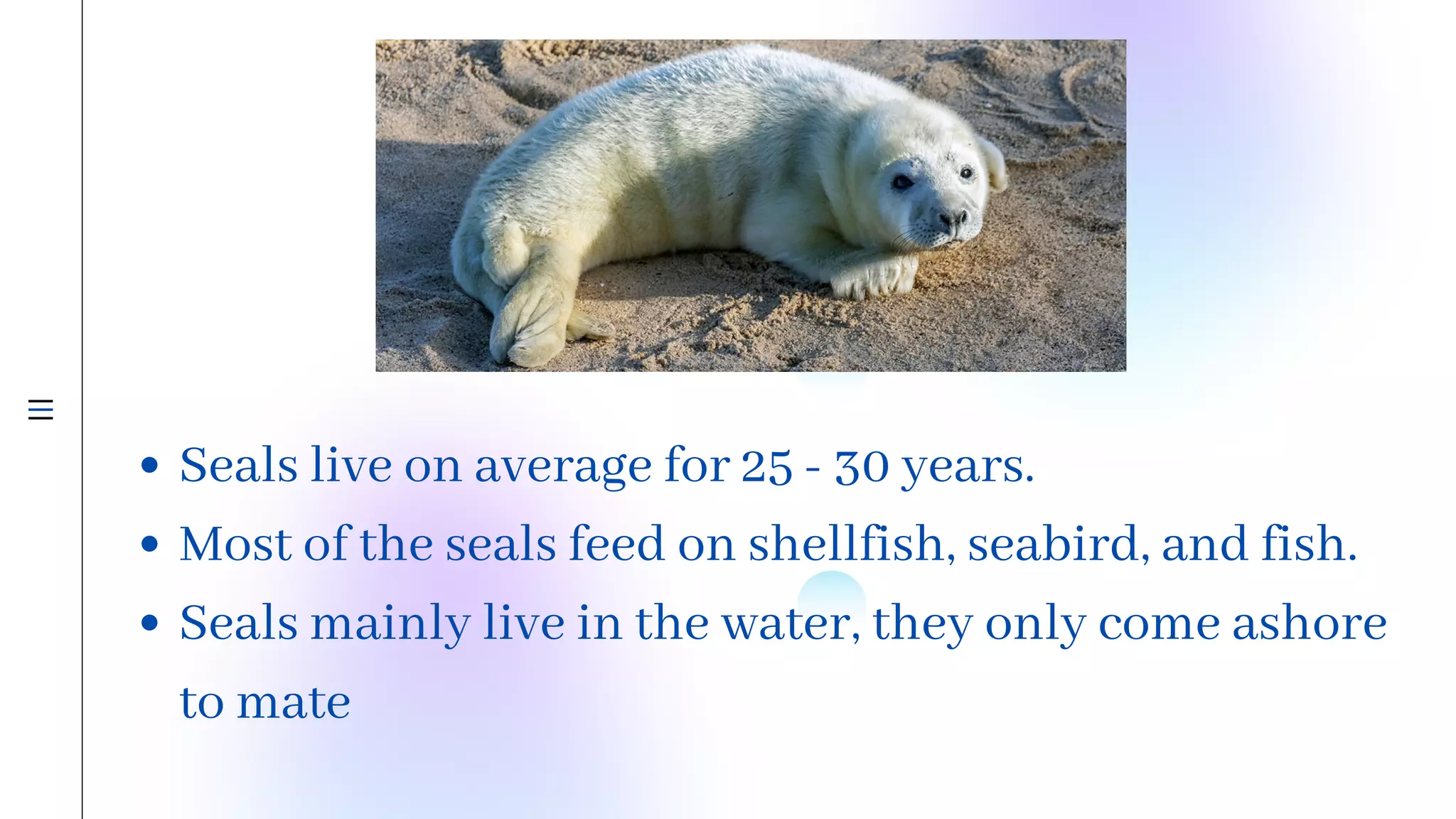 Seals Endangerd Species - Marine Conservation | PPT