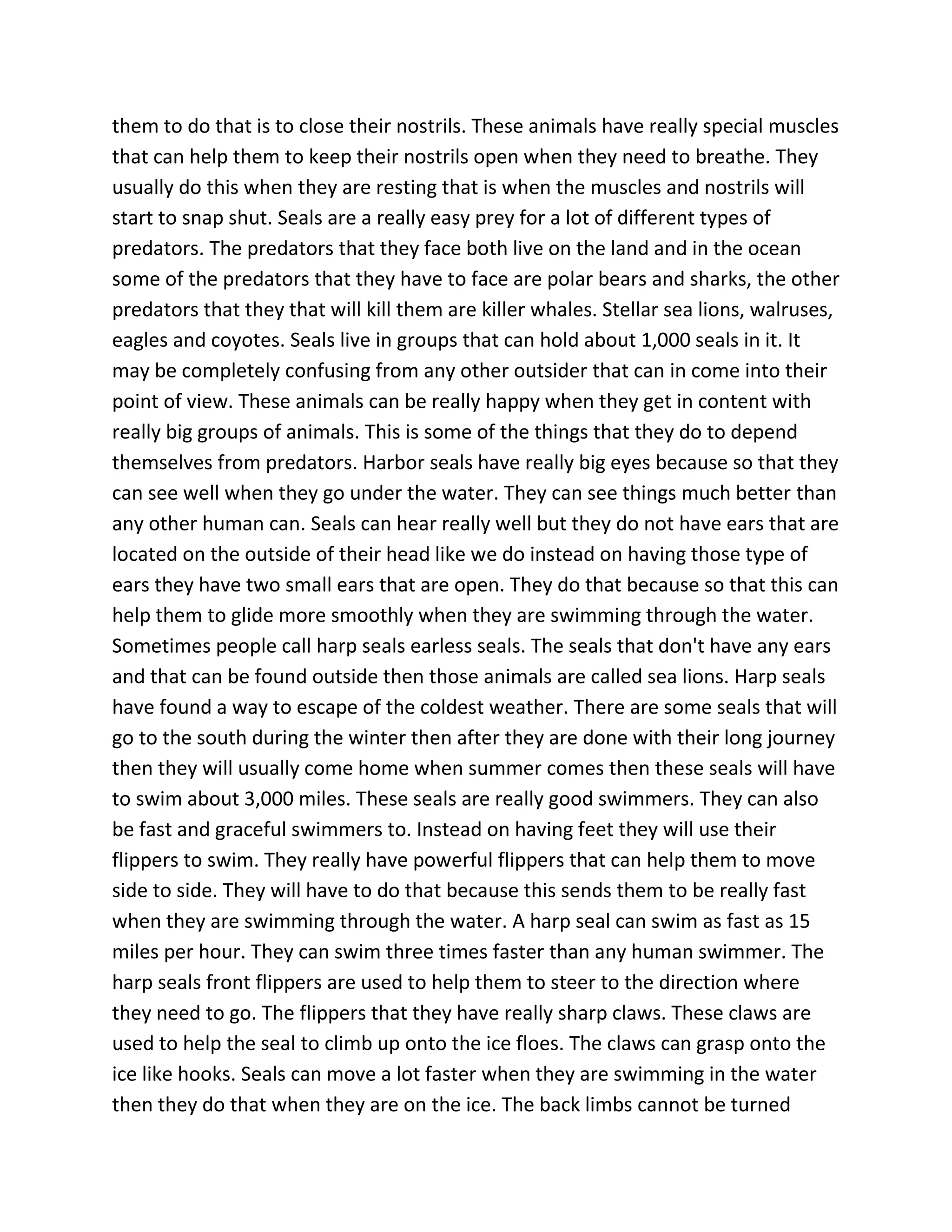Seals report | DOCX