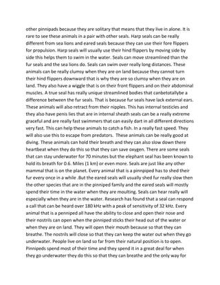 Seals report | DOCX