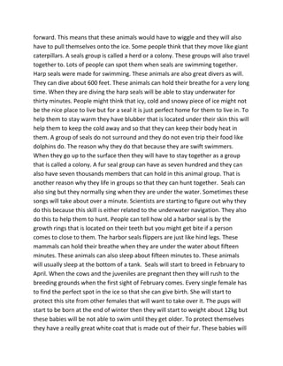 Seals report | DOCX