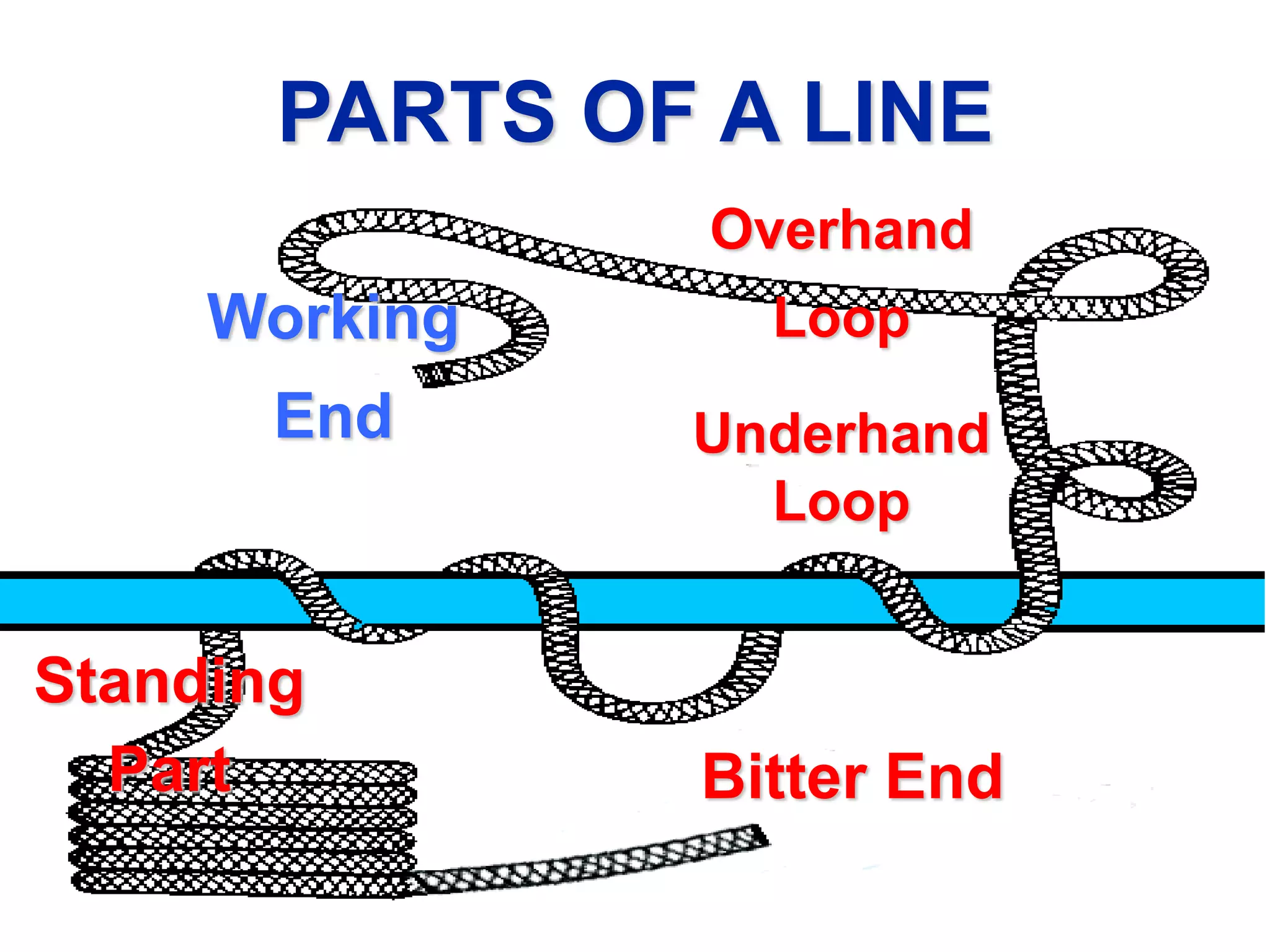 Seamanship (Marlinespike) | PPTX