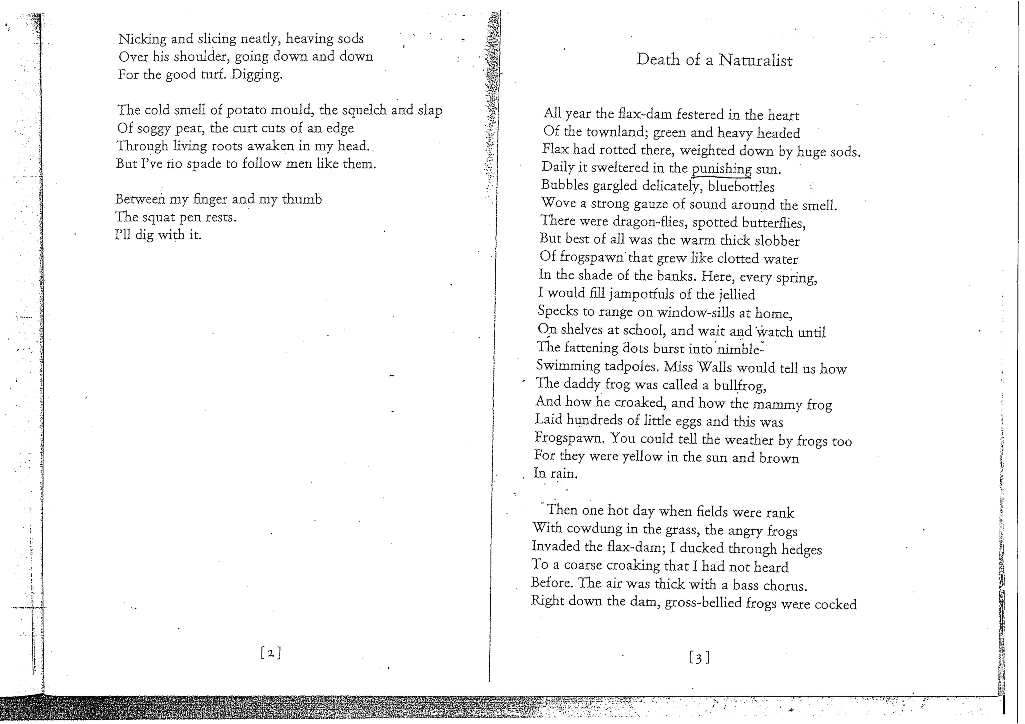 Seamus heaney death of a naturalist | PDF | Poetry | Books and Literature