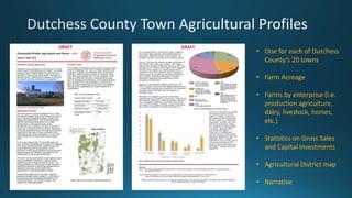 Online Dutchess County Mapping Tools | PPT