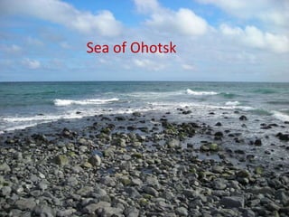 Sea of ohotsk | PPT | Free Download