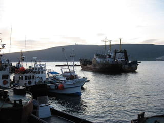 Sea of ohotsk | PPT | Free Download