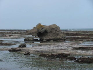 Sea of ohotsk | PPT | Free Download