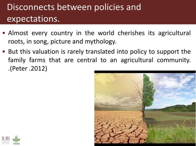 Complex agricultural problems and innovative approaches to their solutions