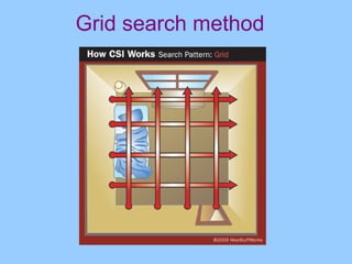 Searching the crime scene | PPT