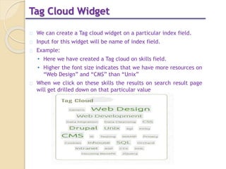 HTML Widgets For Search | PPT