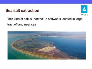 Sea salt extraction | PDF