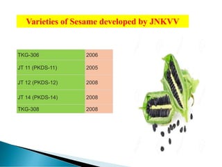 Seasame breeding, Crop Improvement kharif | PDF