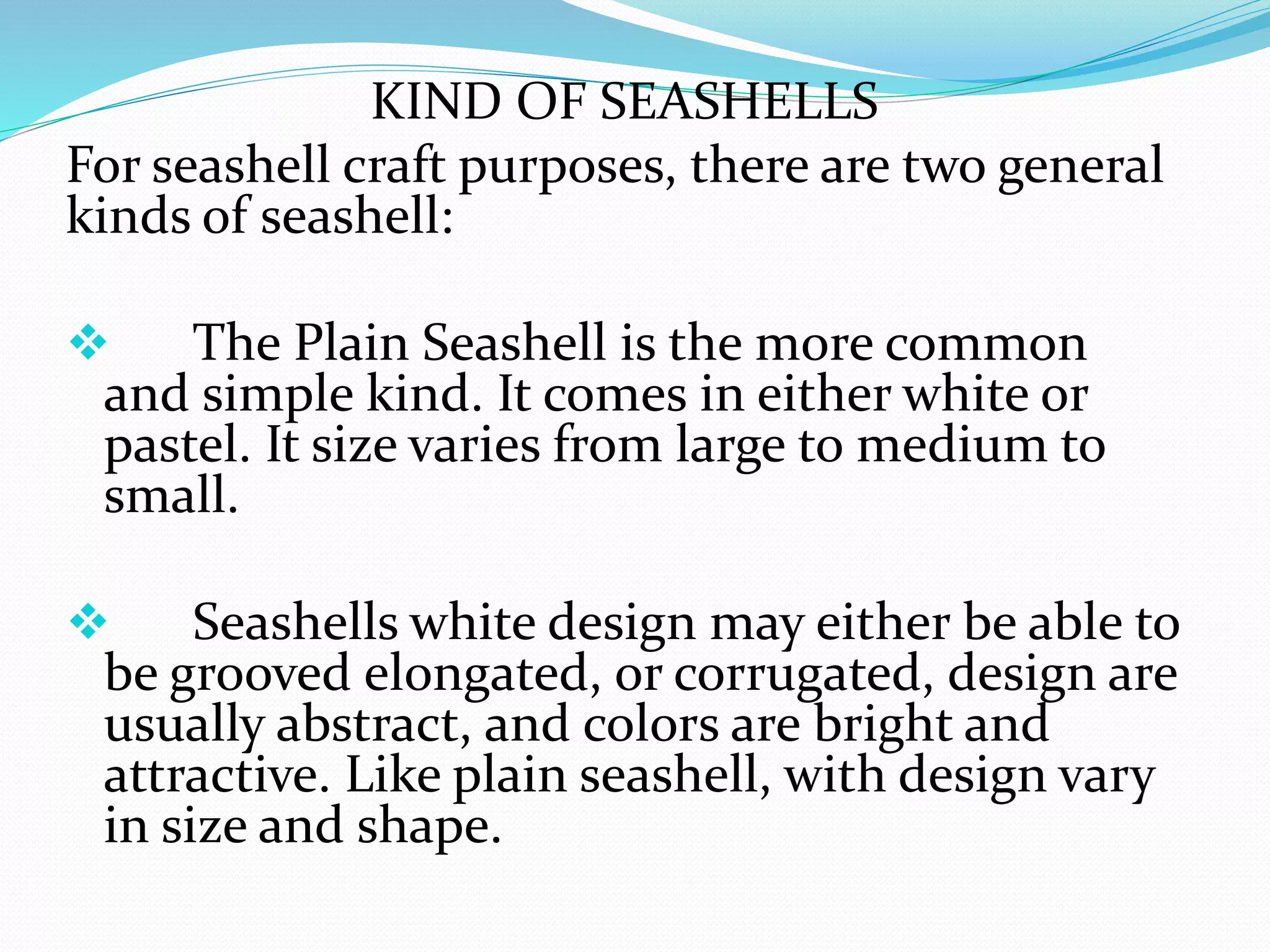Seashell | PPTX