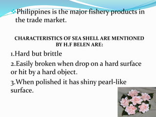 Seashell | PPTX