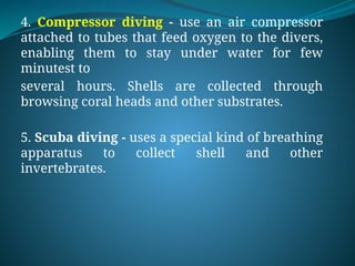 Seashell-and-Shell-Craft.pptx-Sep-5-2024-Lecture-1.pptx