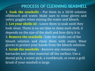 Seashell-and-Shell-Craft.pptx-Sep-5-2024-Lecture-1.pptx
