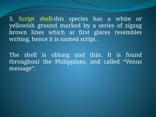 Seashell-and-Shell-Craft.pptx-Sep-5-2024-Lecture-1.pptx