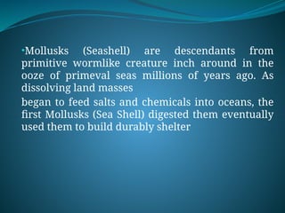 Seashell-and-Shell-Craft.pptx-Sep-5-2024-Lecture-1.pptx
