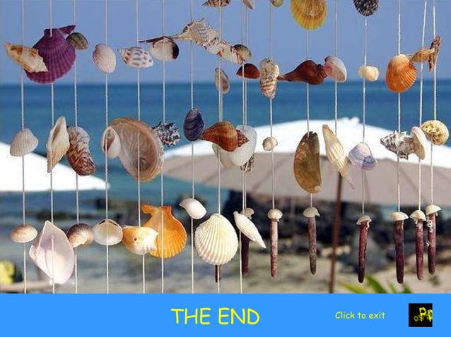 SEASHELLS by the Seashore | PPS