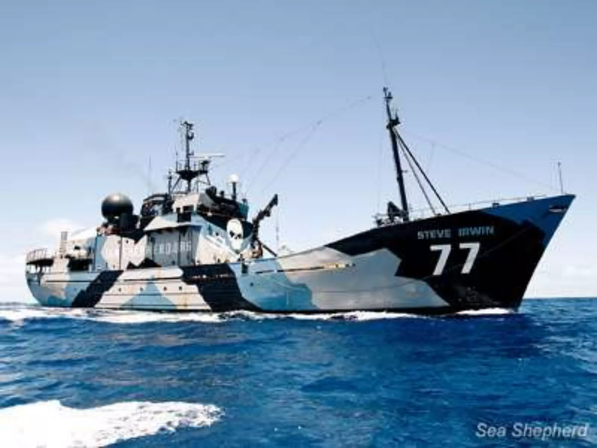 Sea Shepherd Conservation Society | PPTX