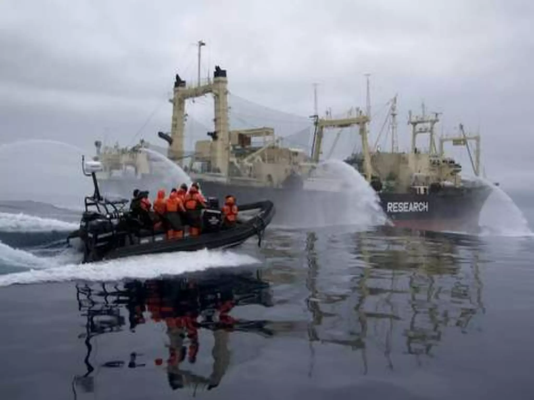 Sea Shepherd Conservation Society | PPTX