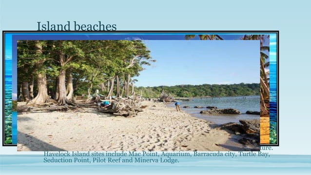 Sea shore or beaches | PPTX | Beach Travel | Travel Type