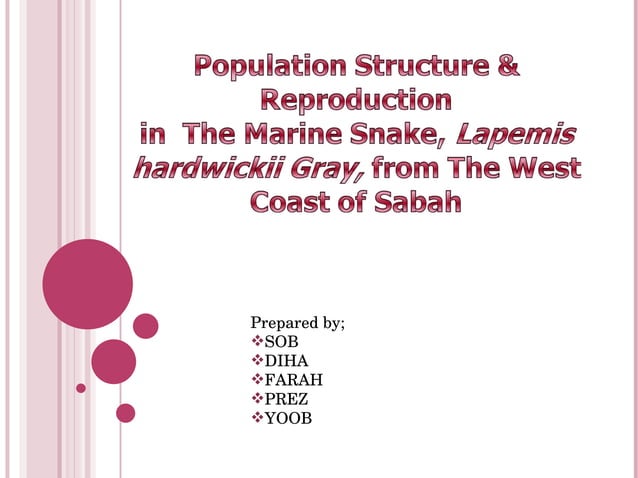 Sea Snake (Lapemis hardwickii) | PPT | Reptiles | Pets