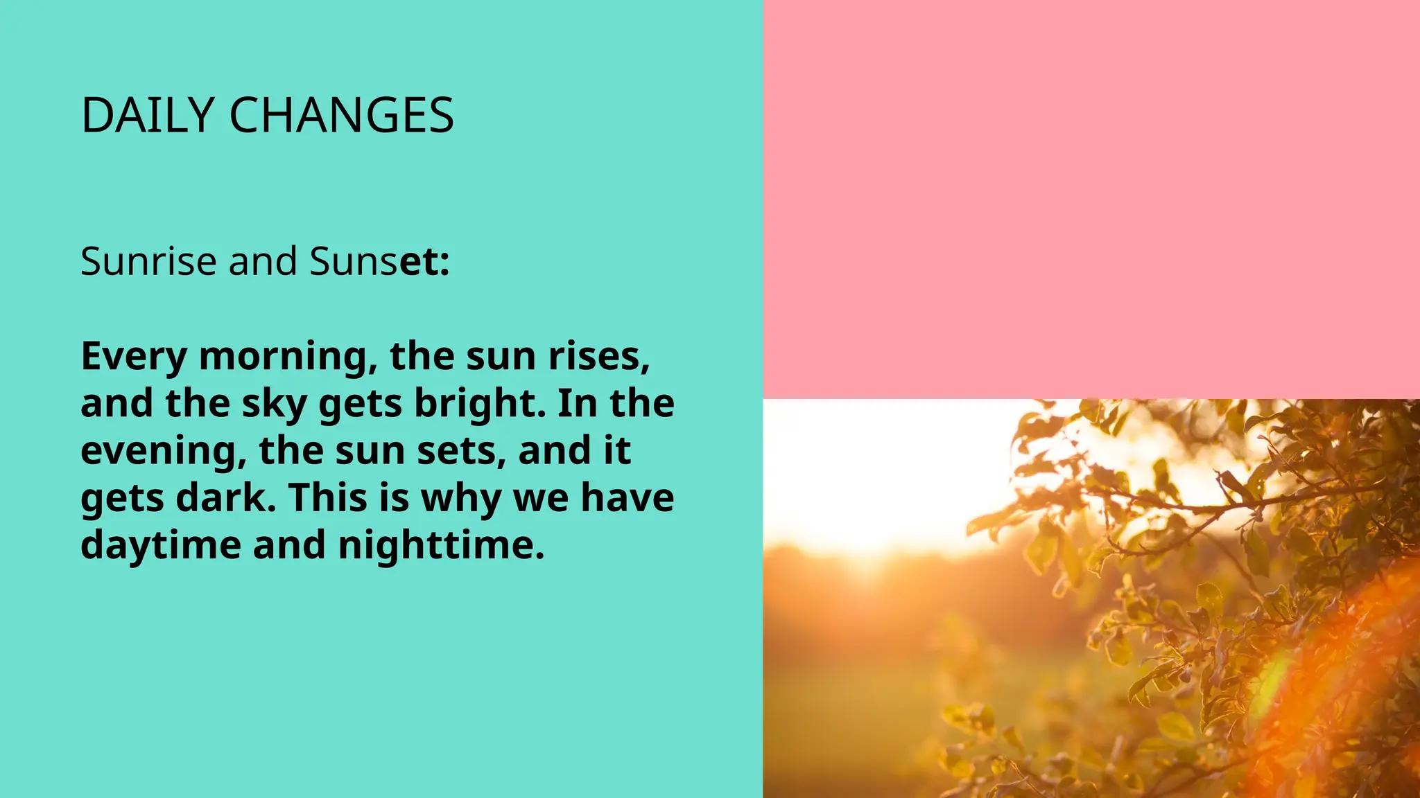 Seasonal Changes Science Presentation Colourful Photographs.pptx