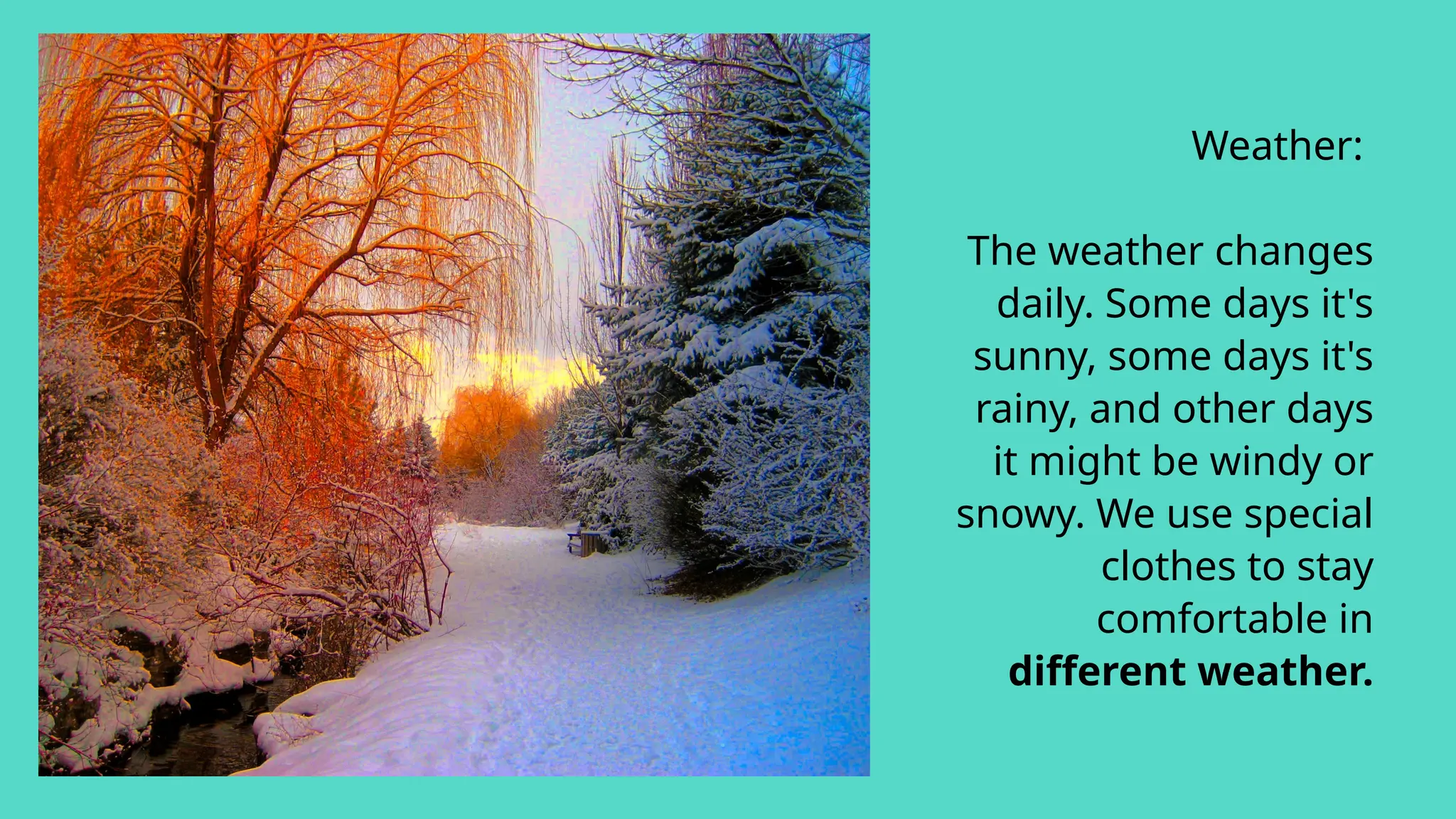 Seasonal Changes Science Presentation Colourful Photographs.pptx