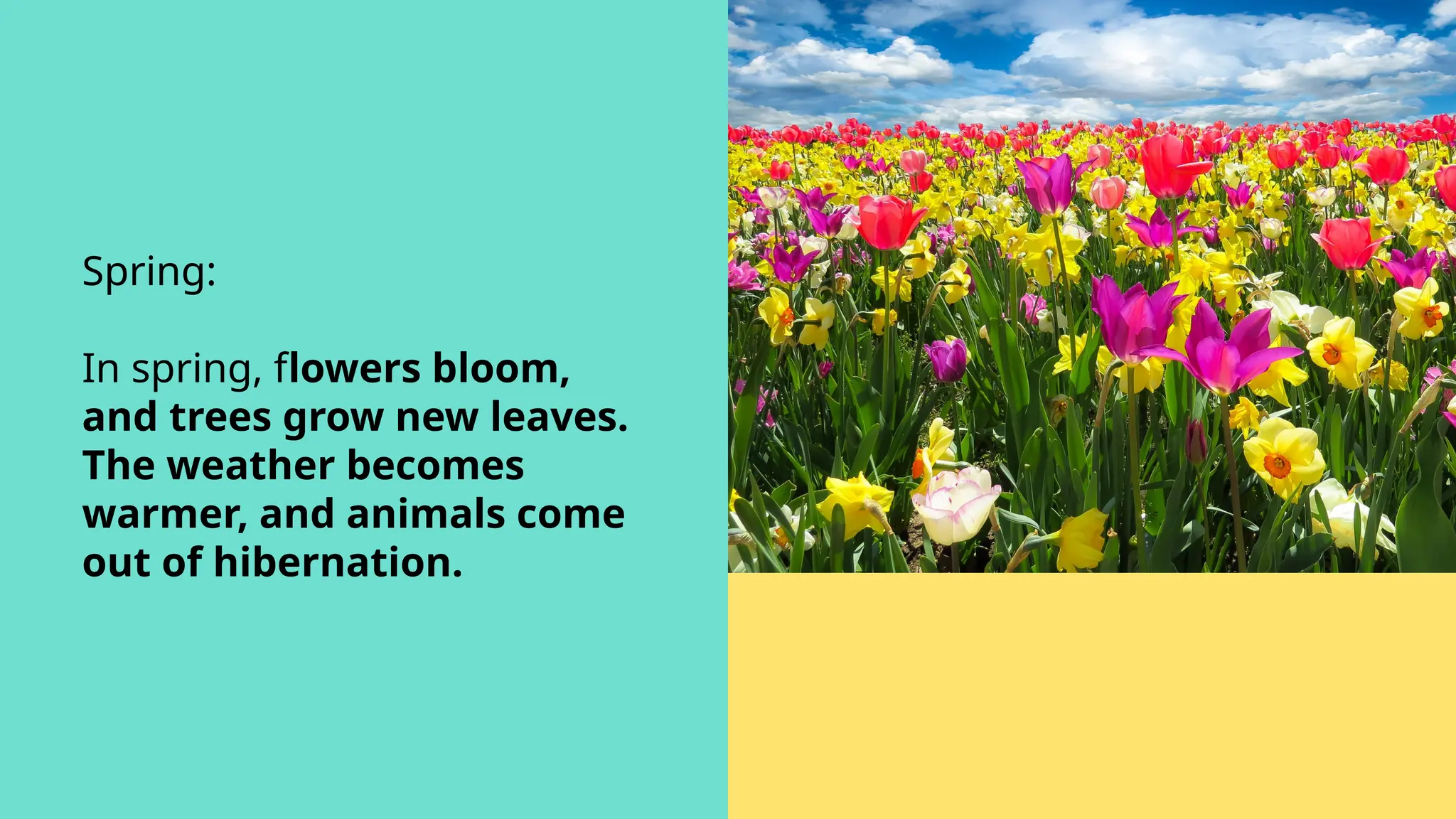 Seasonal Changes Science Presentation Colourful Photographs.pptx