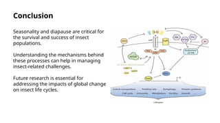 Seasonality In Insects And Mechanism Of Diapause.pptx