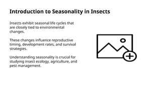 Seasonality In Insects And Mechanism Of Diapause.pptx
