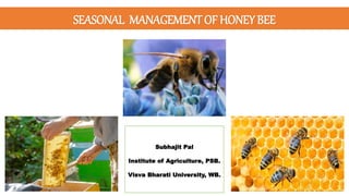 Seasonal Management of Bee.pptx