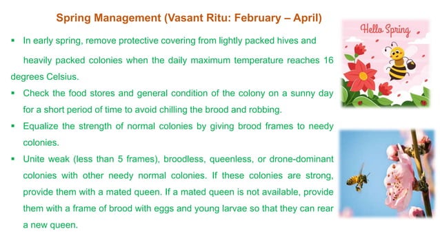Seasonal Management of Bee.pptx