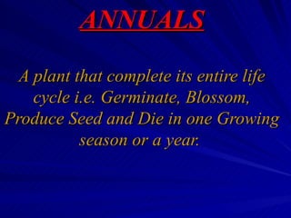 Seasonals --trg. | PPT