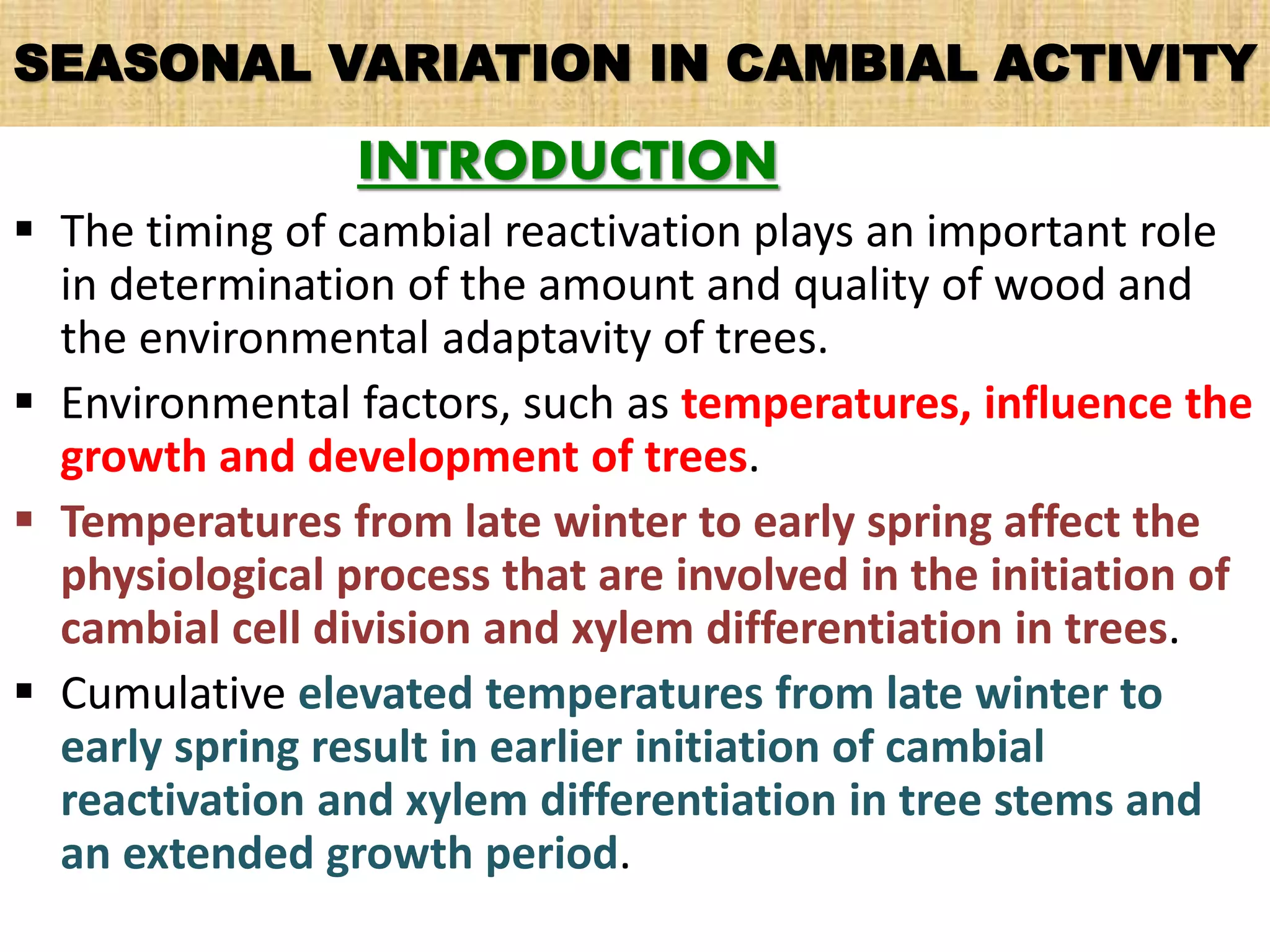 Seasonal variation in cambial activity | PPT