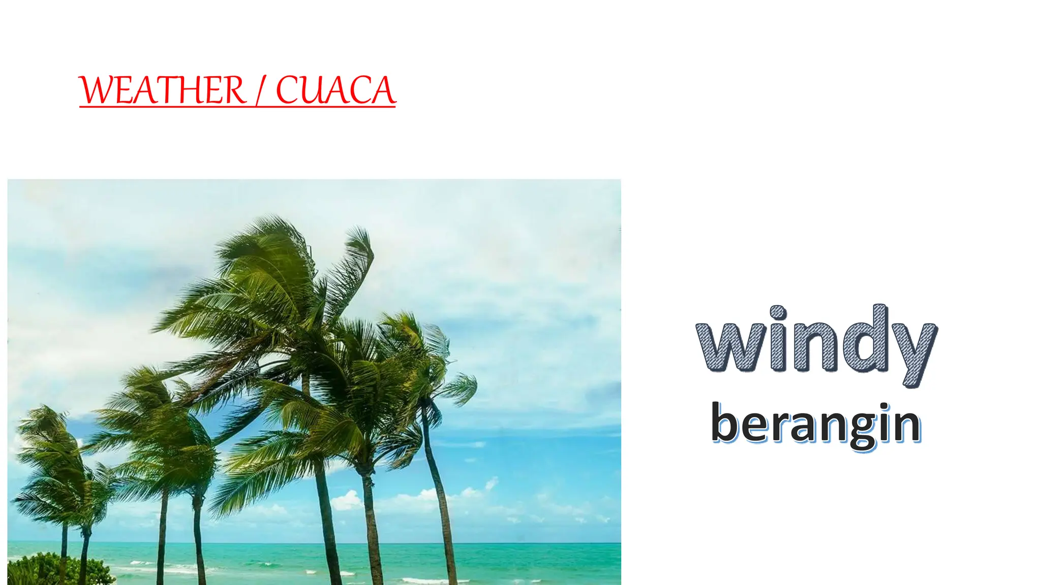 season and weather.pptx | Science