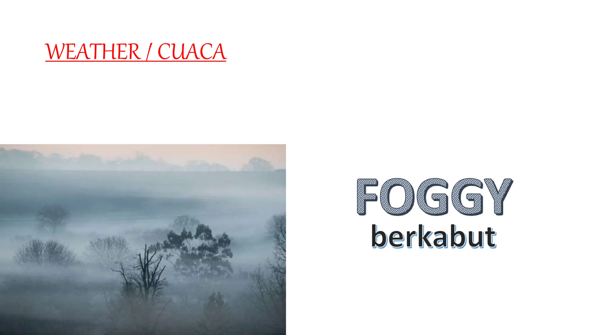 season and weather.pptx | Science