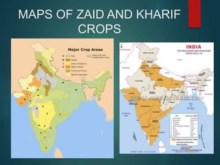 Seasons,Crops and Loo - Class 9 PPT | PPTX