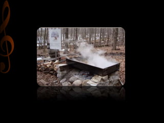 Seasoning of timber | PPTX