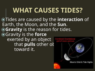 Season, Moon Phases and Tides. Phases of the moon. | PPTX