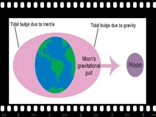 Season, Phases of the Moon, and Tides | PPTX