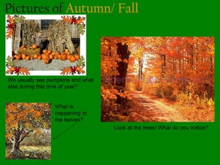 Seasons | PPT