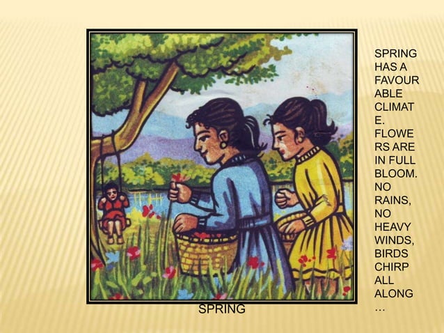 LETS LEARN ABOUT SEASONS | PPTX