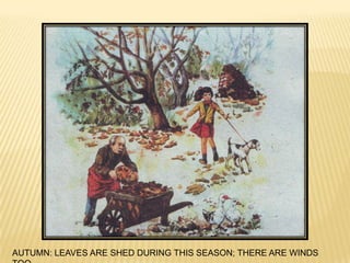 LETS LEARN ABOUT SEASONS | PPTX